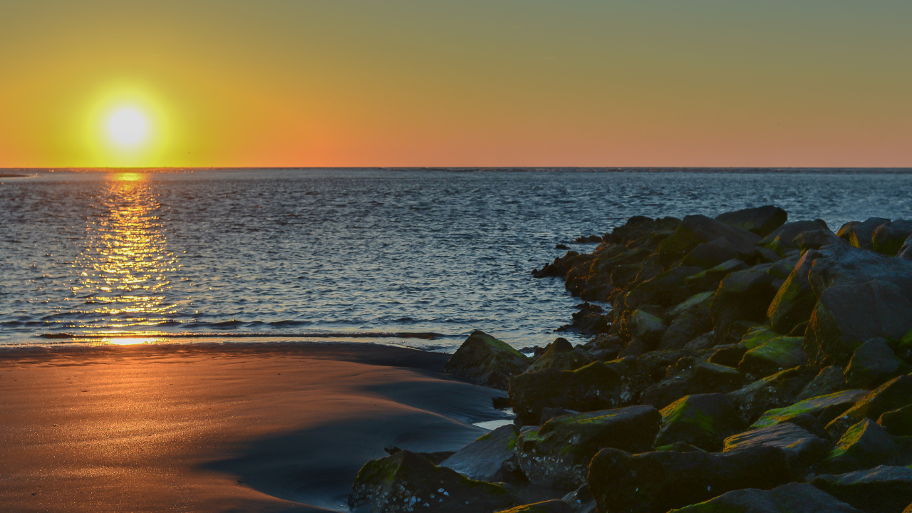 Sullivan's Island SC Visitors Guide: Beaches, Parking, Dining